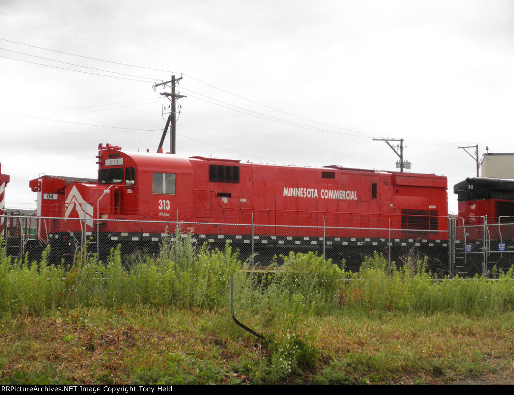 Vibrant Even Beneath Gray Skies